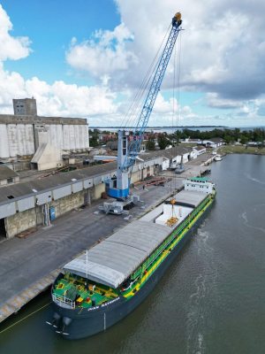 Trevisa Investimentos S.A.